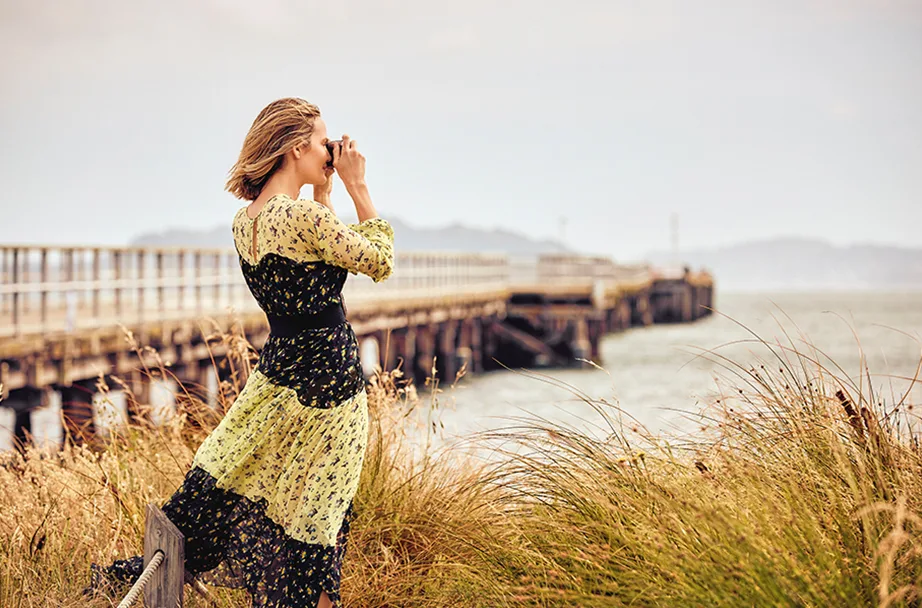 Wellington travel guide