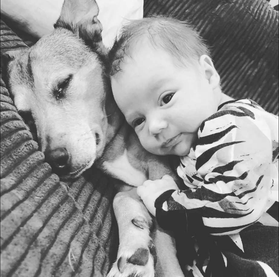 Australian Idol's Lee Harding is now a doting dad