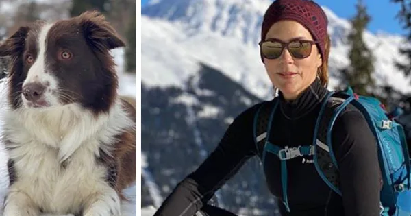 Crown Princess Mary brings family dog on ski trip
