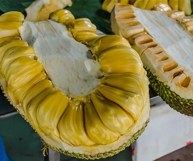 What is jackfruit? Here's what it tastes like and how to cook it