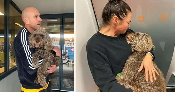 Ryan Fitzgerald mourns the loss of his beloved dog