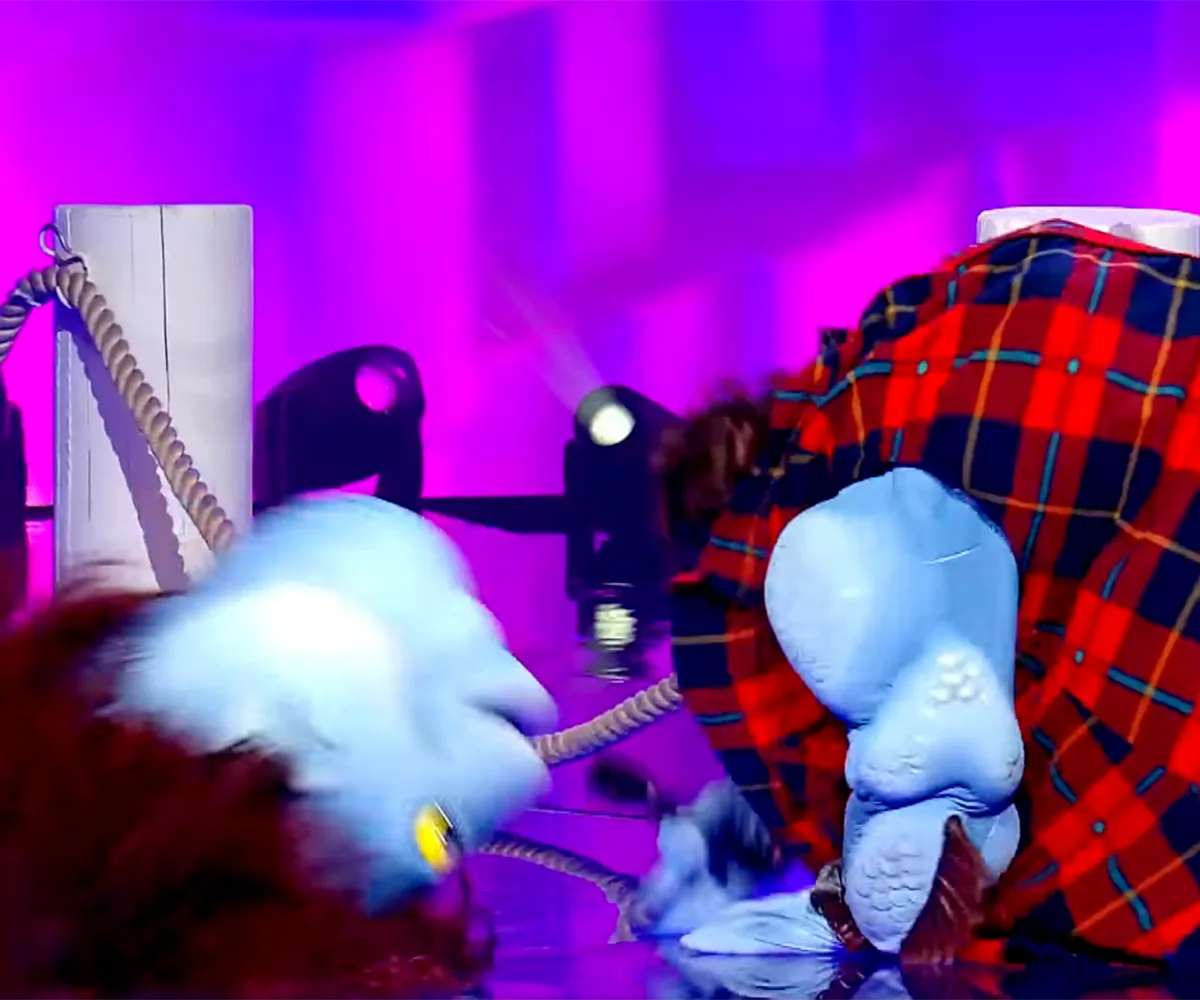 The Masked Singer contestant unmasked in on-stage blunder