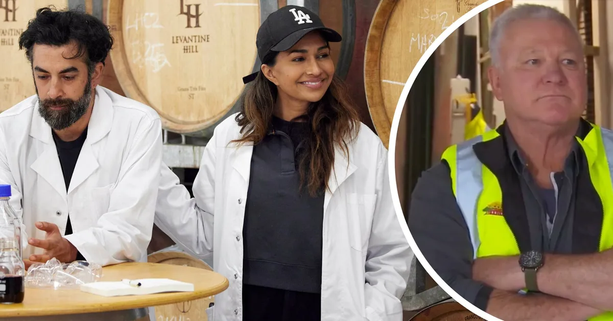 The Block's Ankur and Sharon react to Scott Cam: 'We're not cheats!'