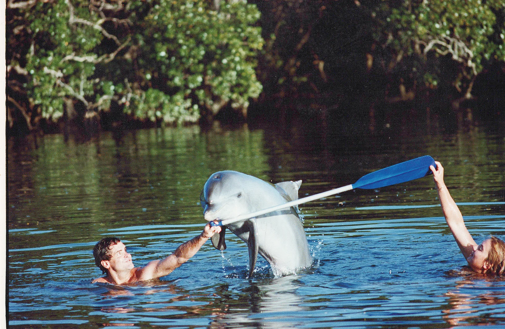 Incredible story of Australian woman healed by dolphin