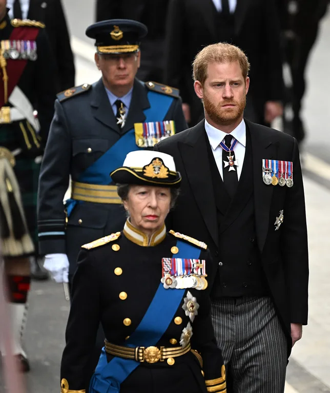 The Queen's funeral: Princess Anne's subtle tribute