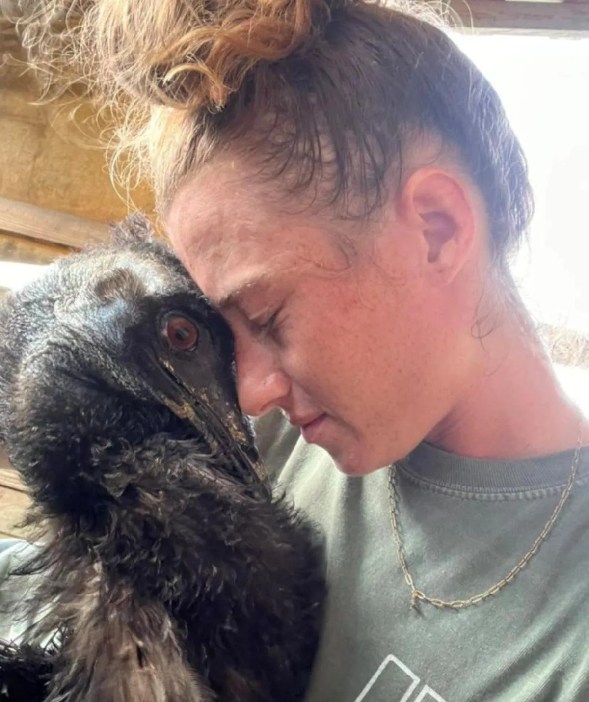 Bindi Irwin responds to fan backlash after unable to help sick wild animal