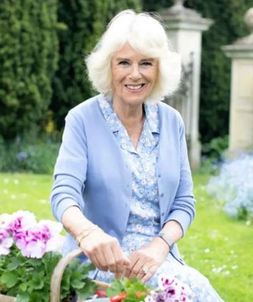 Catherine, Princess of Wales, isn't the only royal with a talent for ...