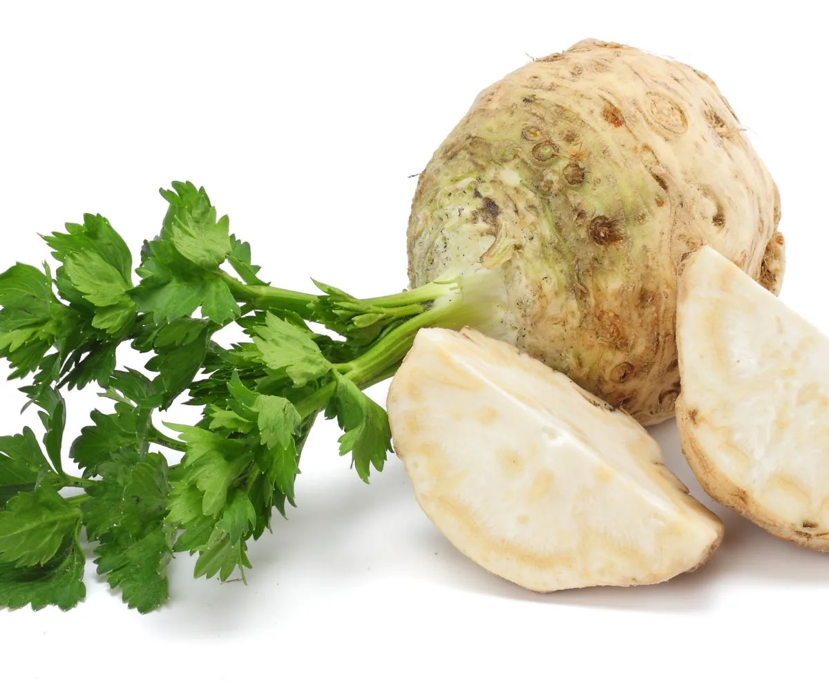 What is celeriac?
