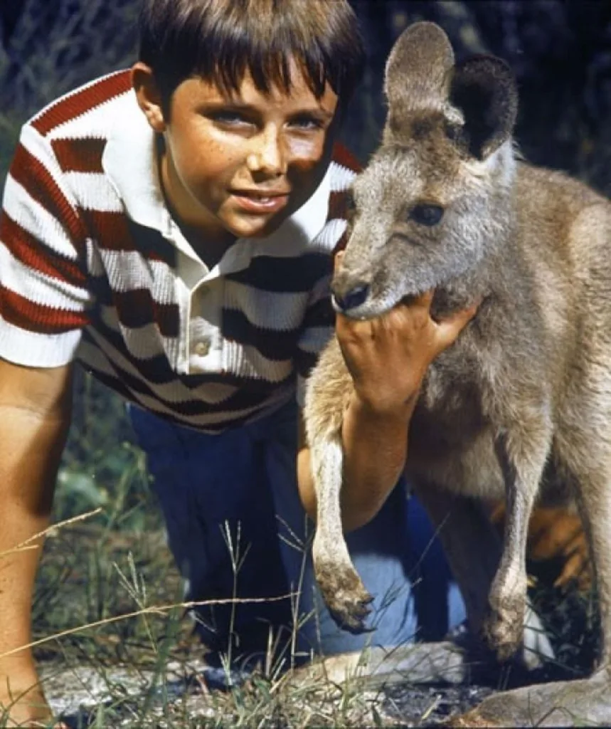 Skippy star, Tony Bonner's whirlwind career