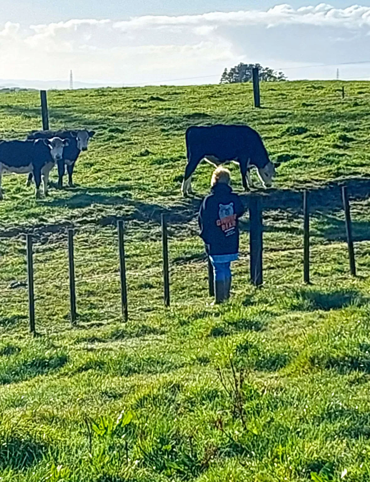 Get away to a cabin for the weekend in rural Taranaki