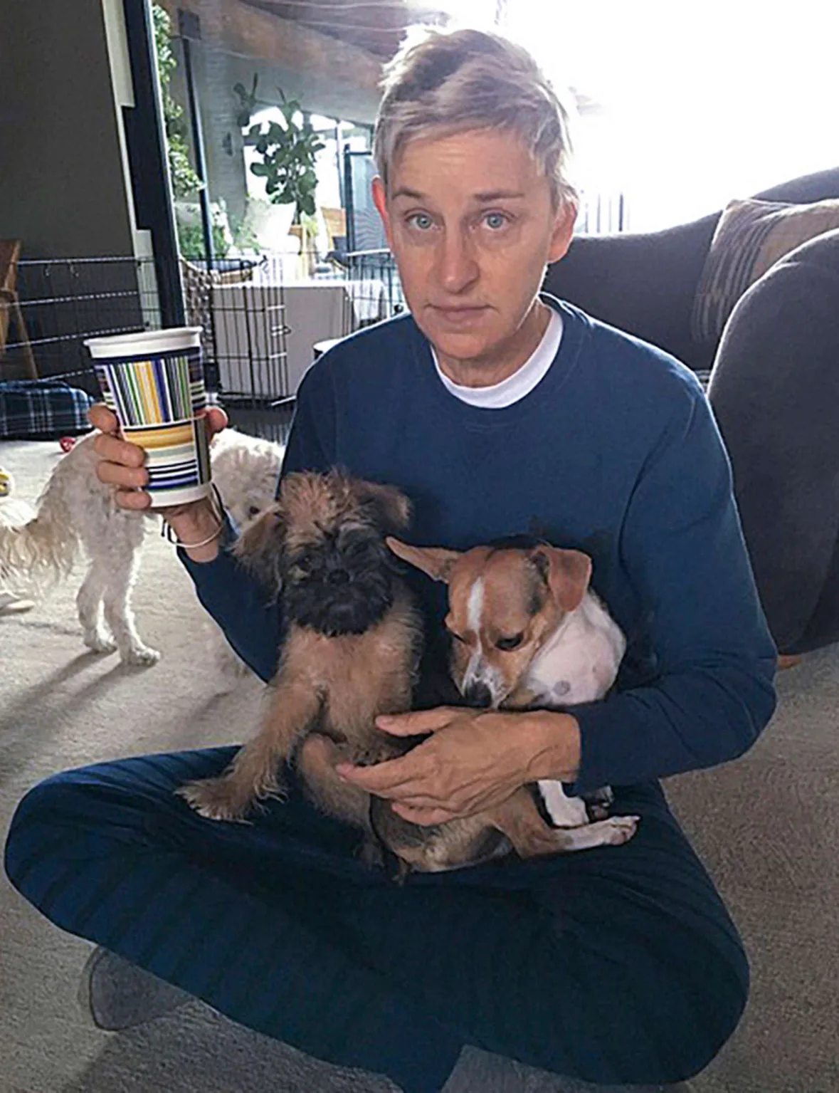 Meet the pets that keep these well-known celebrity faces company