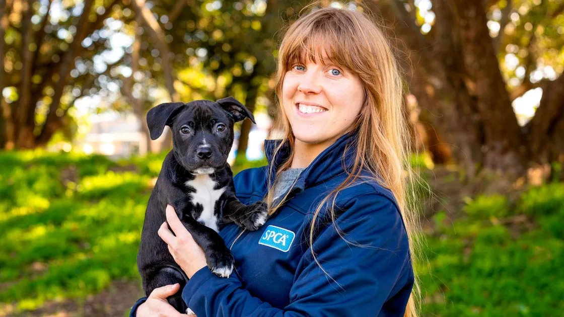 Dr Alison Vaughan tells how to protect your pets on Guy Fawkes