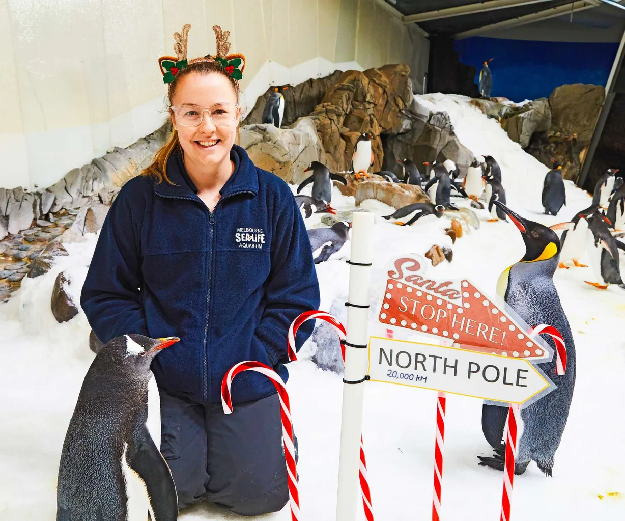 Pesto the penguin has his first visit from Santa!