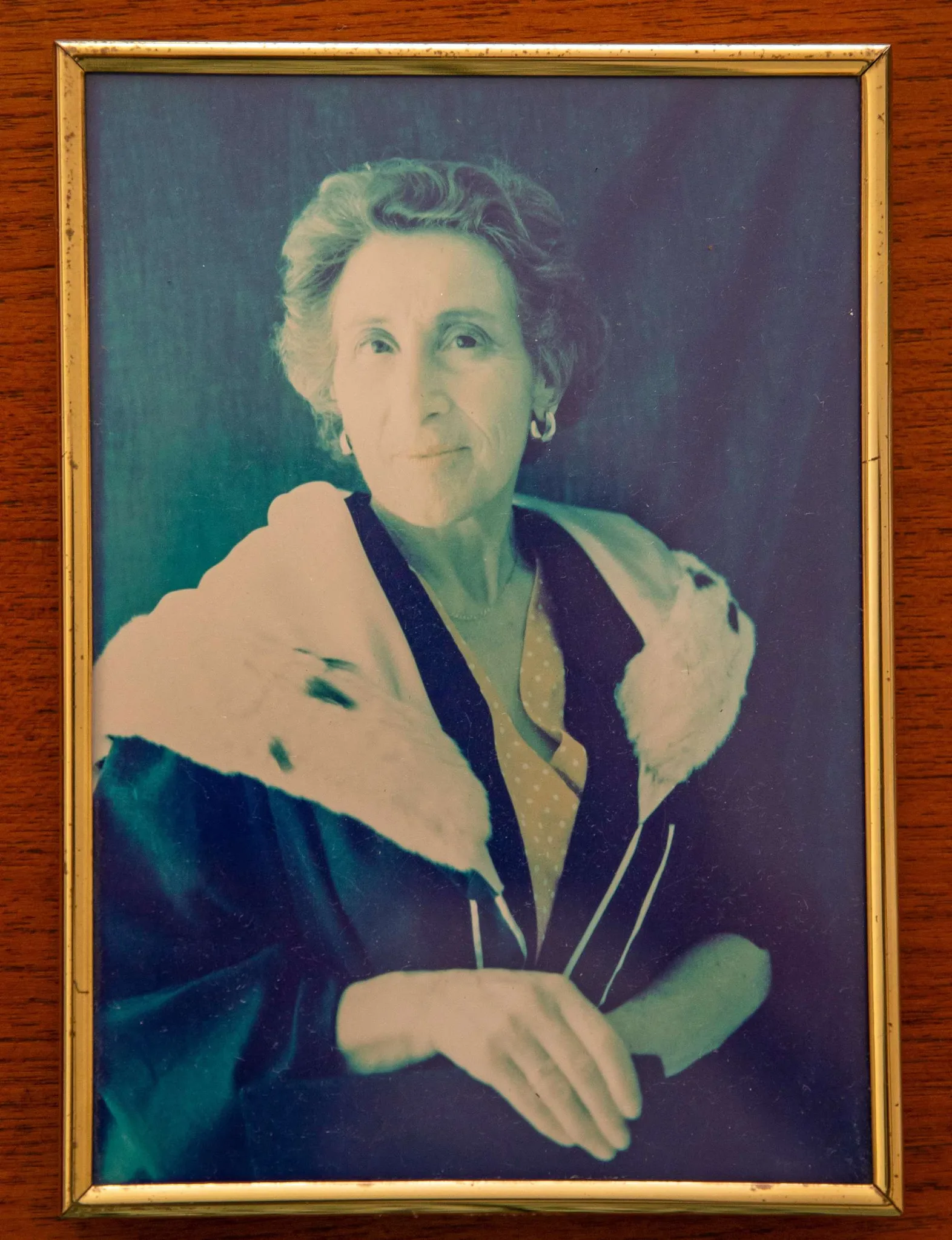 Ace volunteer Shelagh Coop on the power of giving back