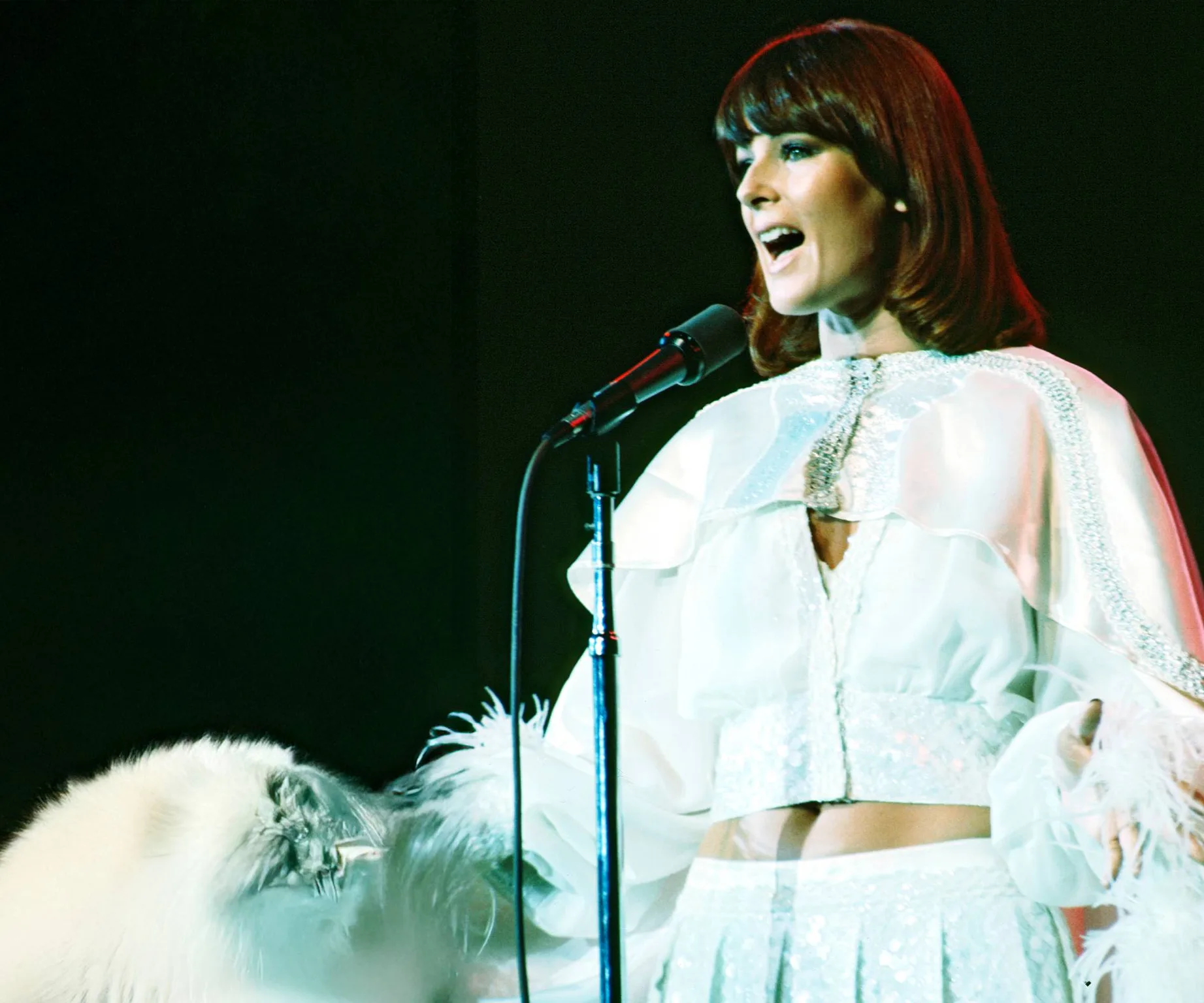 ABBA's Frida Lyngstad life story and career highlights