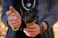 5 ancient healing techniques from different cultures that can benefit ...