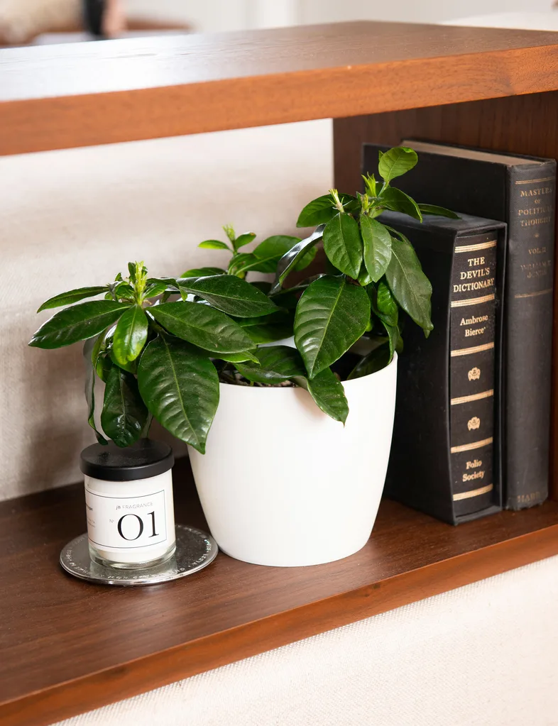 Inside TV presenter Amber Peebles’ stylish home