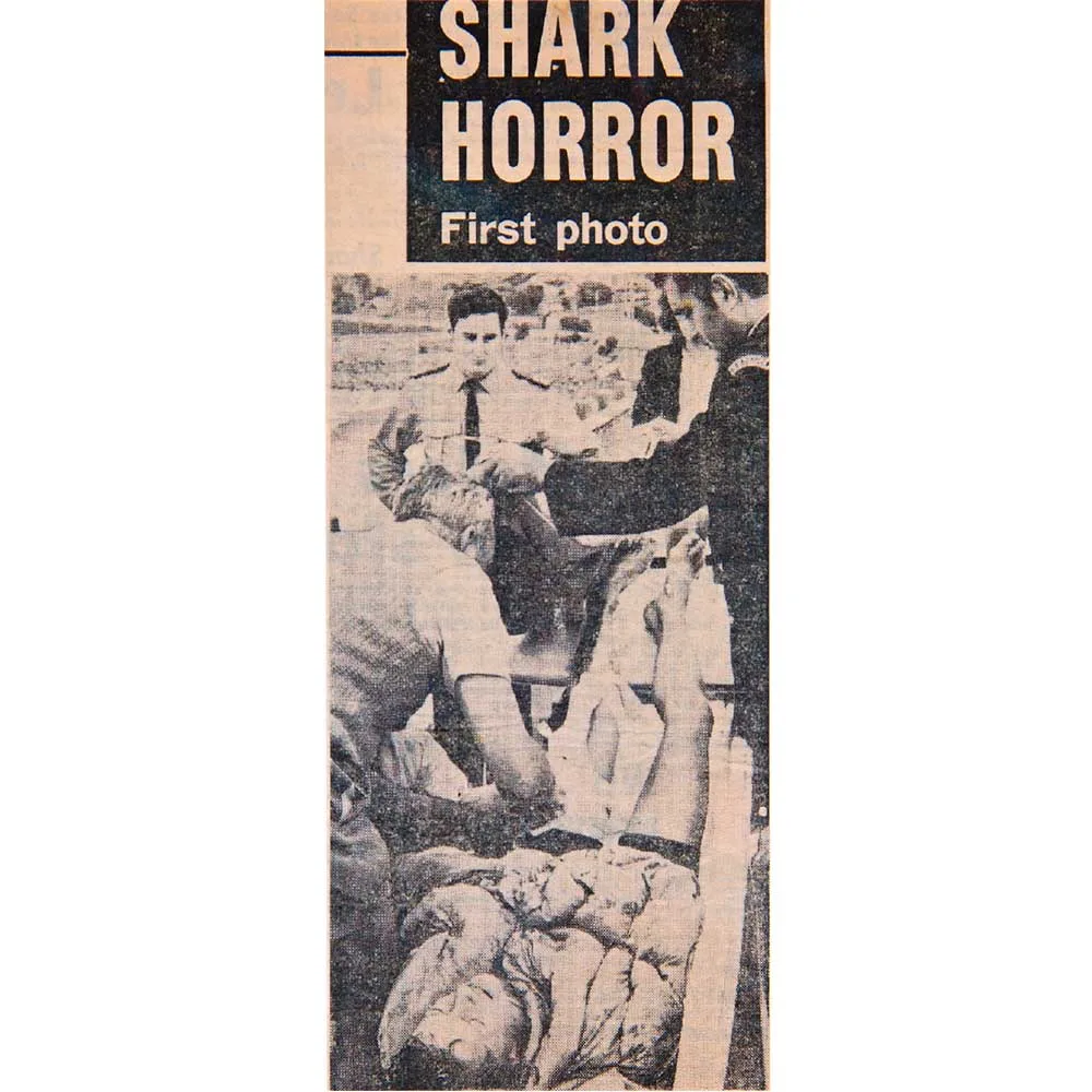 What it's like to be attacked by a shark: Barry Watkins' story nearly ...