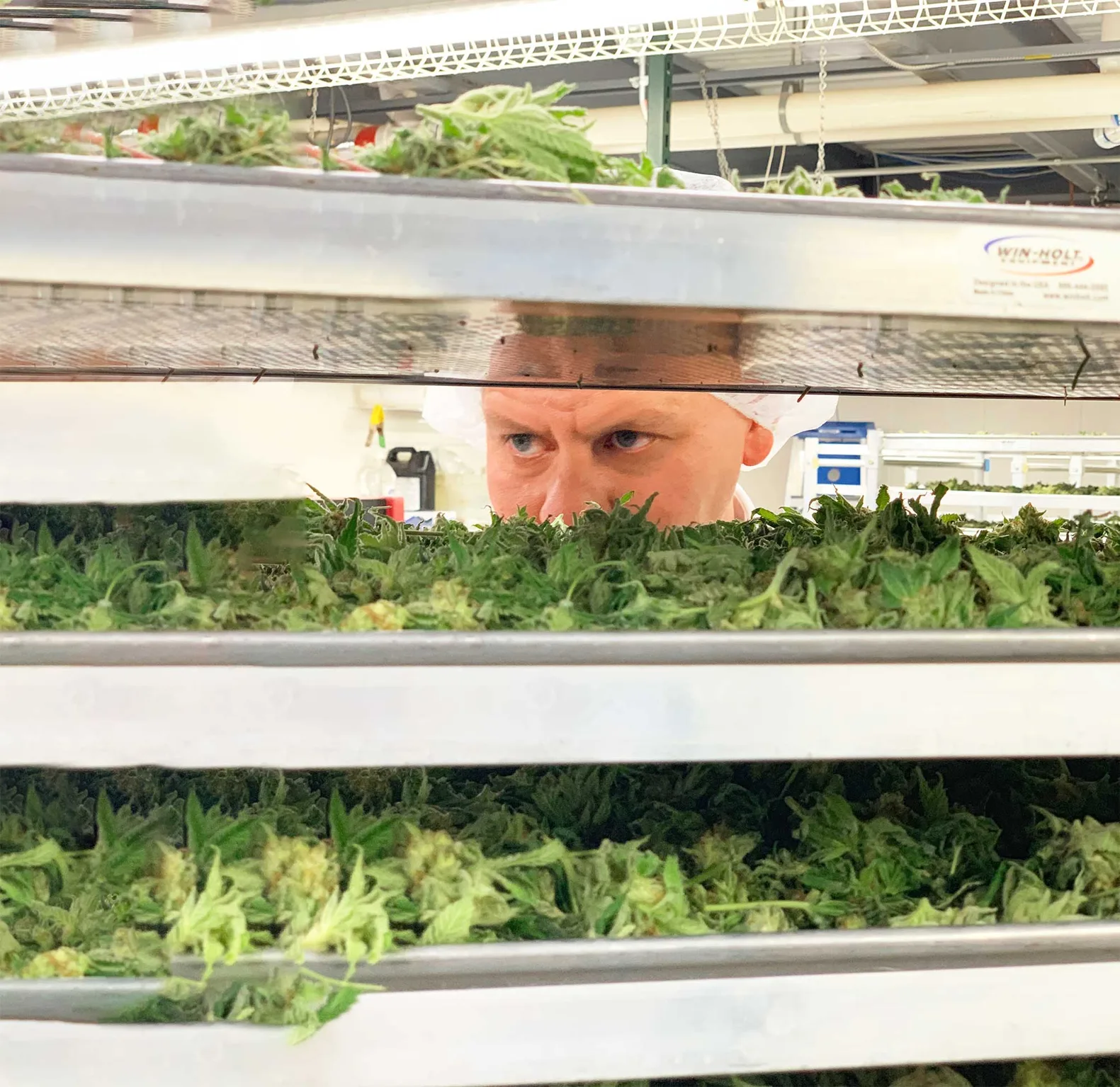 Patrick Gower's cannabis crusade for his mother