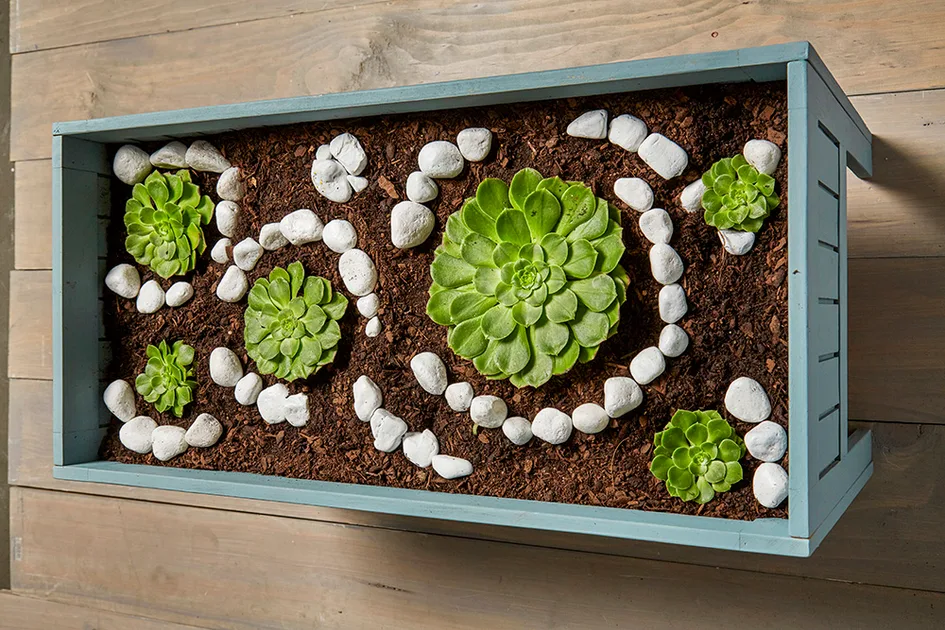 Twinkle twinkle little garden!