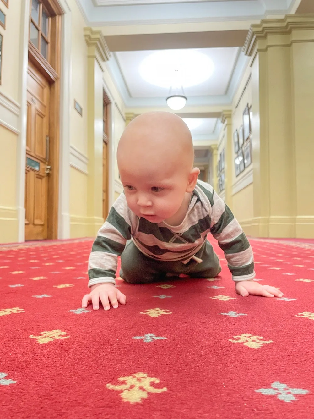 Newshub's Jenna Lynch 'Nothing could have prepared me for this!'