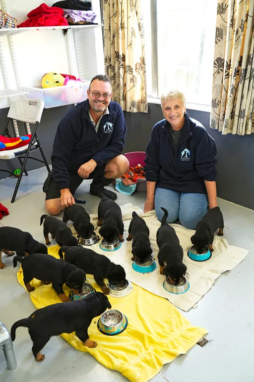 Meet Helen and Gavin Cook the two-legged stars of The Dog House NZ