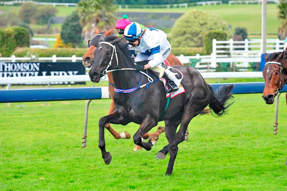 Jockey Lisa Cross find her legs