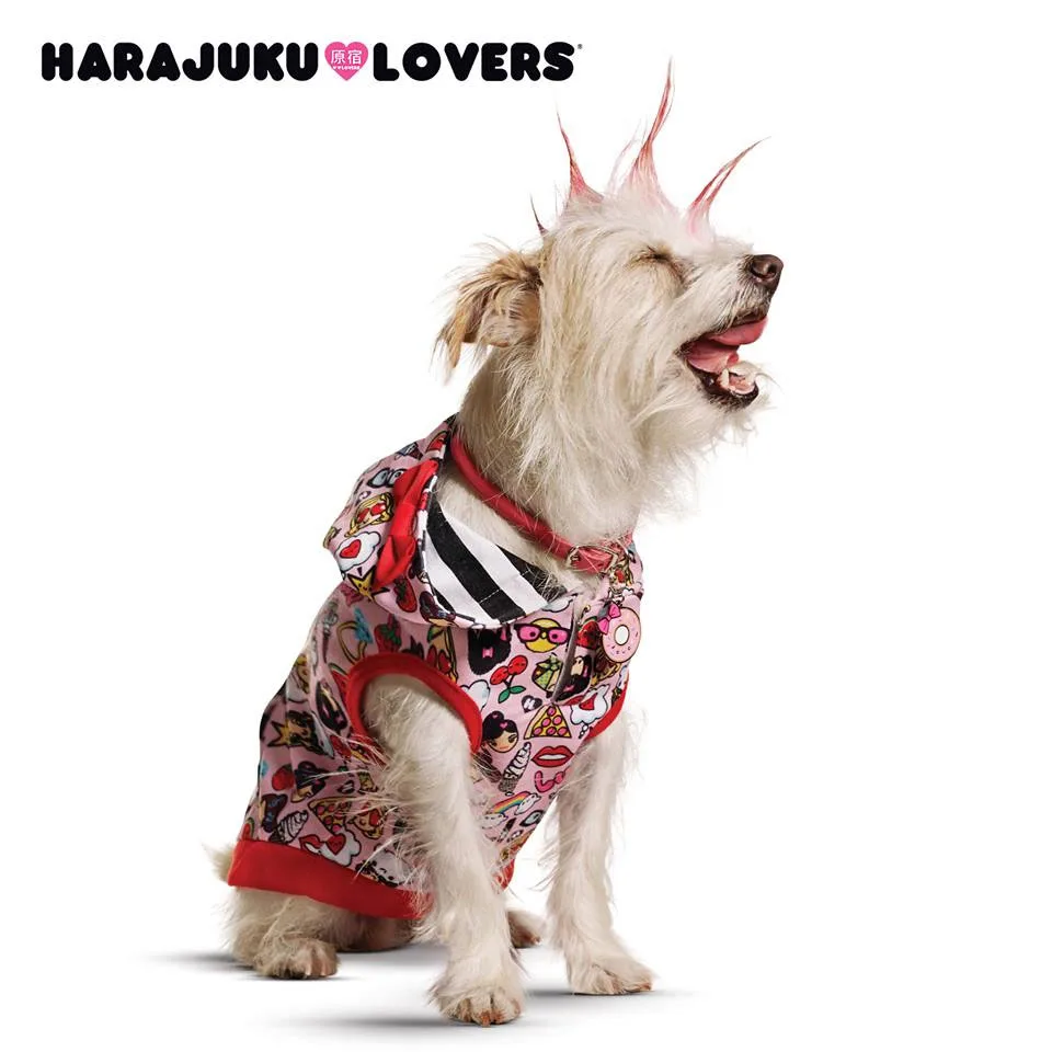 Gwen Stefani launches clothing line for dogs