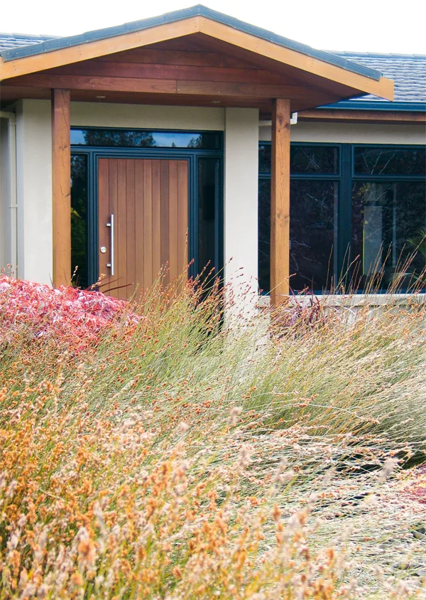 Planting your own prairie | Now to Love - New Zealand