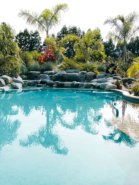 Creating a pool paradise | Now to Love - New Zealand