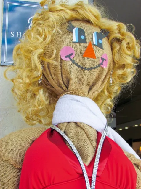 Scarecrow's in the garden | Now to Love - New Zealand