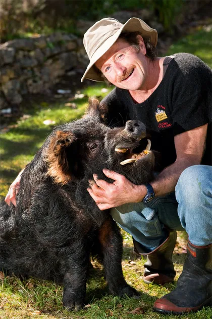 This piggy gets jiggy! | Now to Love - New Zealand