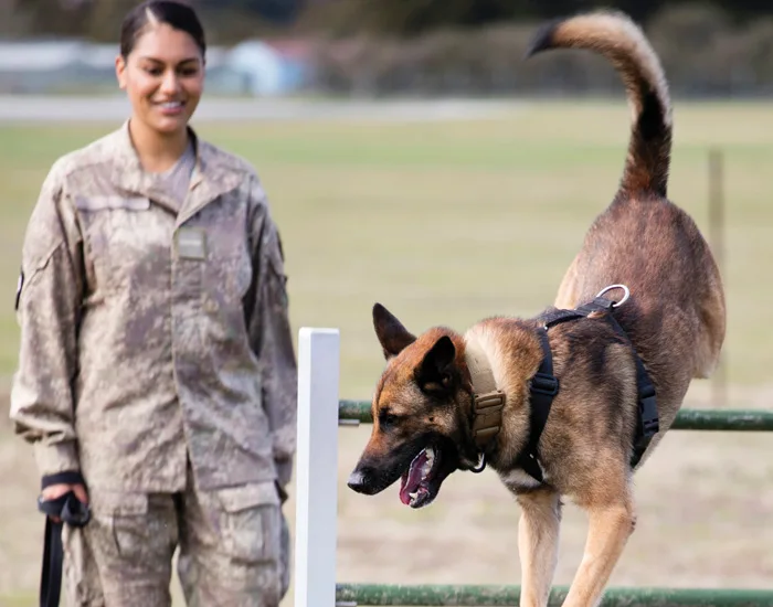 Meet the only female dog handler in the New Zealand Defence Force