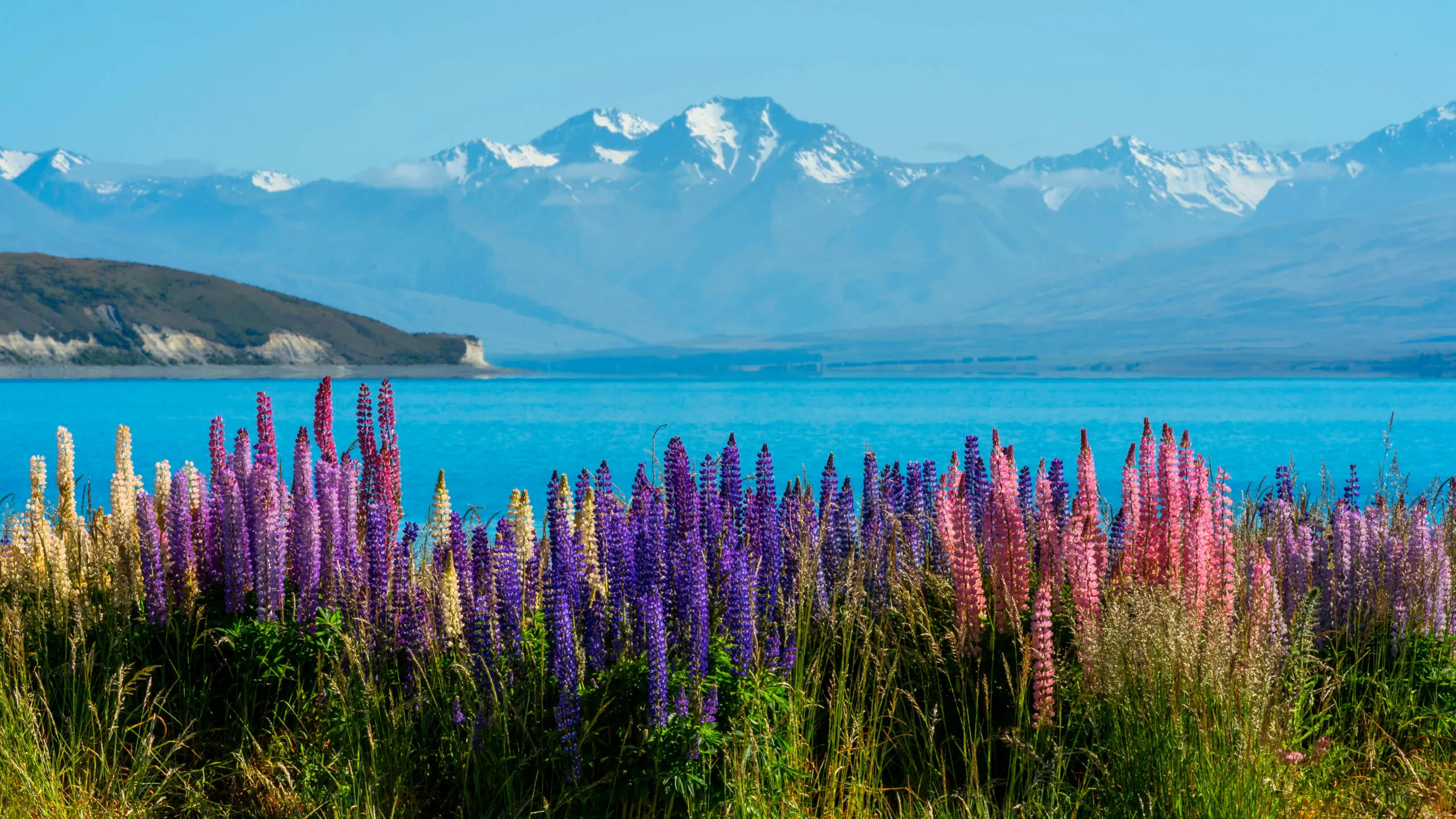 Beautiful Maori baby name ideas and their meanings