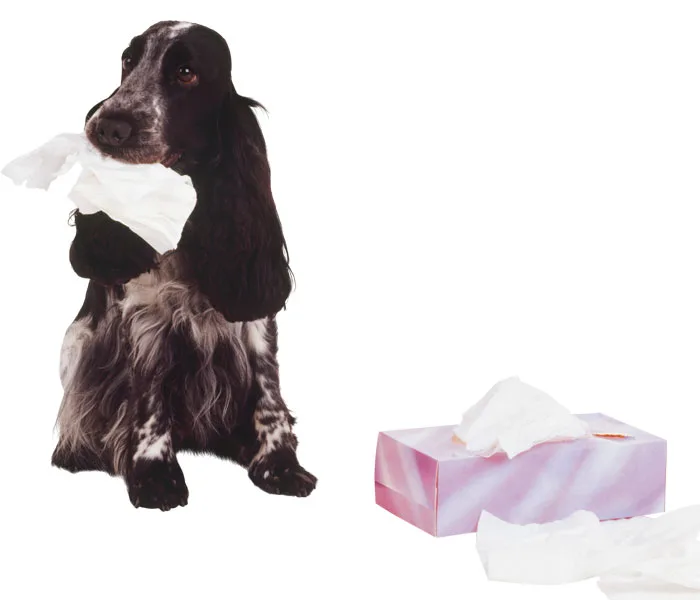 Jo Seager: Crying is okay