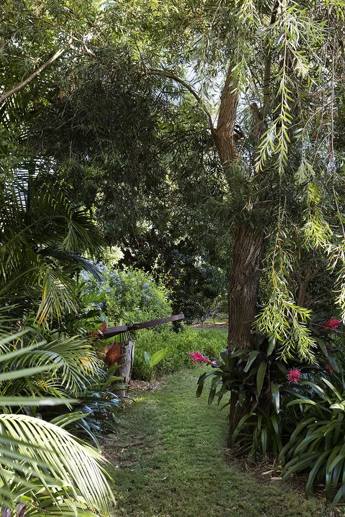 Gallery - Faye and Edward’s sustainable Perth garden