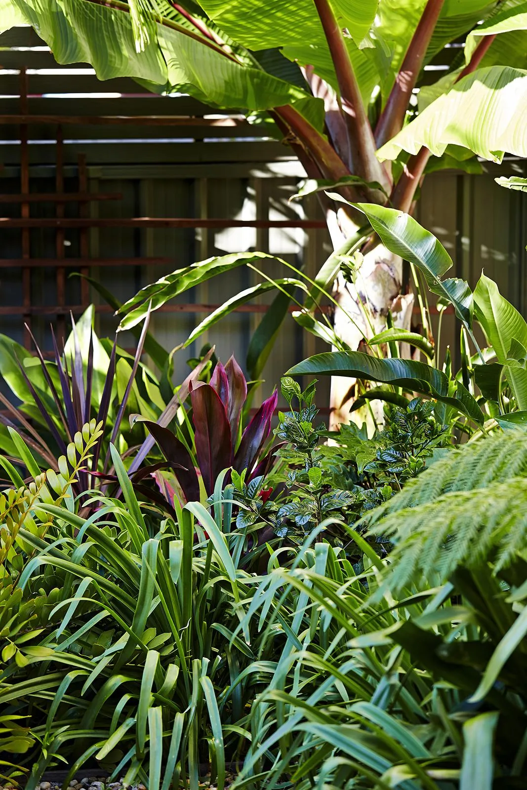 Greg and Nicki’s Lush Tropical Courtyard