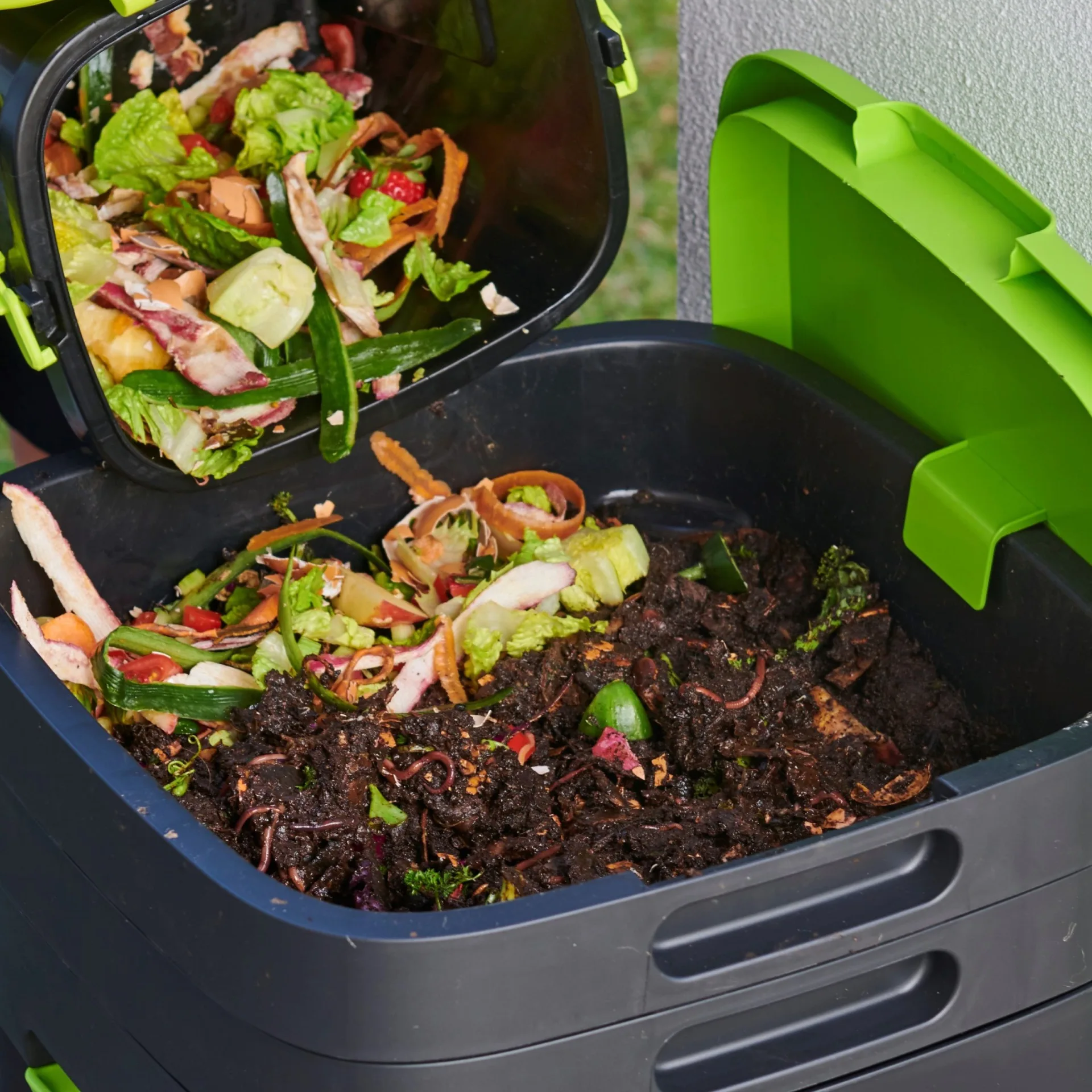 How to Start a Worm Farm: Create Nutrient-Rich Compost