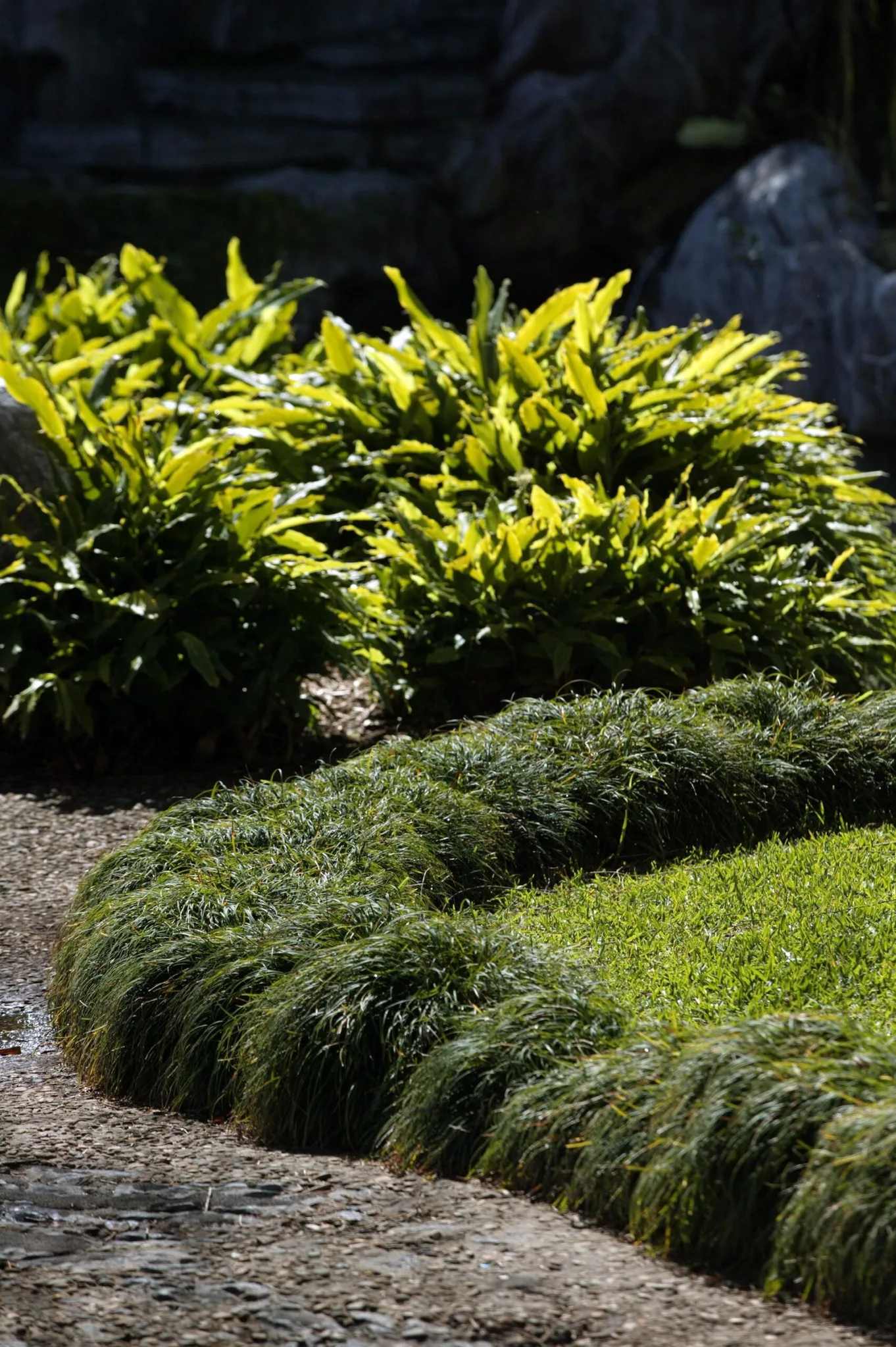 Garden Borders: How To Choose The Best Edging Plants
