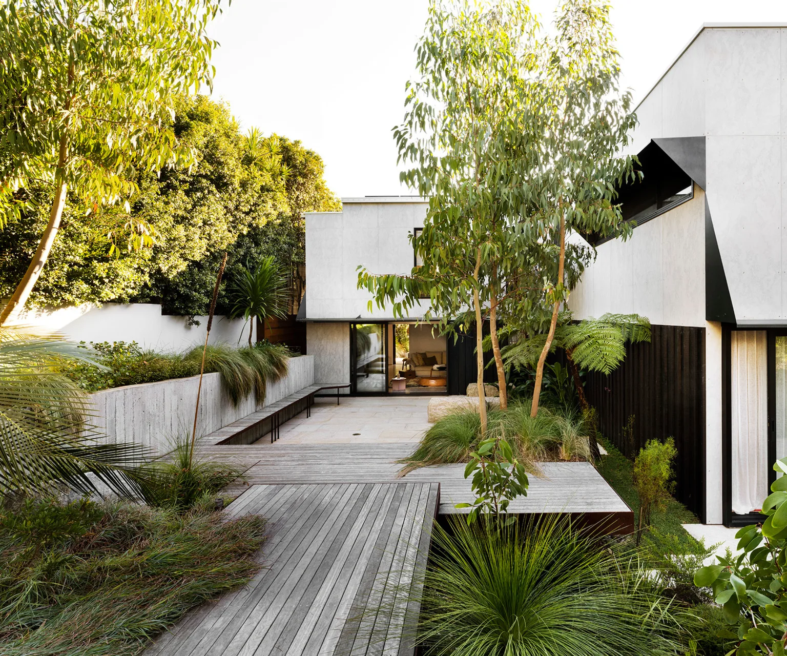 7 Native Australian Plants That Thrive in Winter | Homes To Love