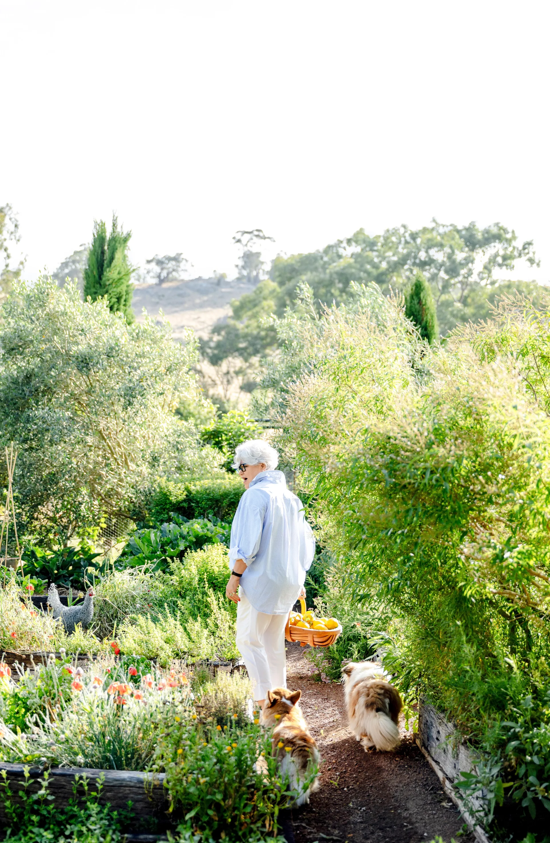 A Landscaped Country Garden In Bookham, NSW | Homes To Love