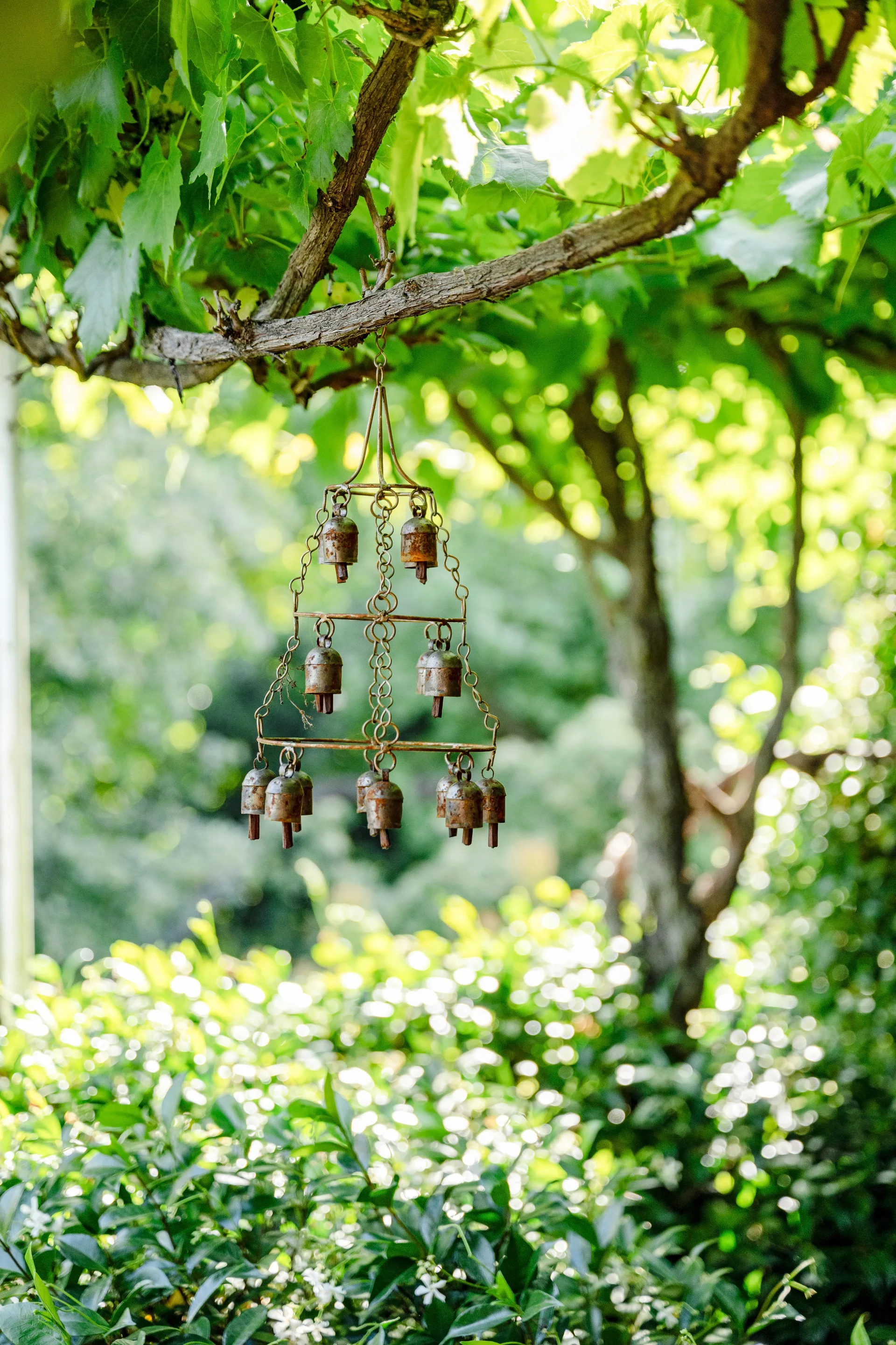 A Landscaped Country Garden In Bookham, NSW | Homes To Love