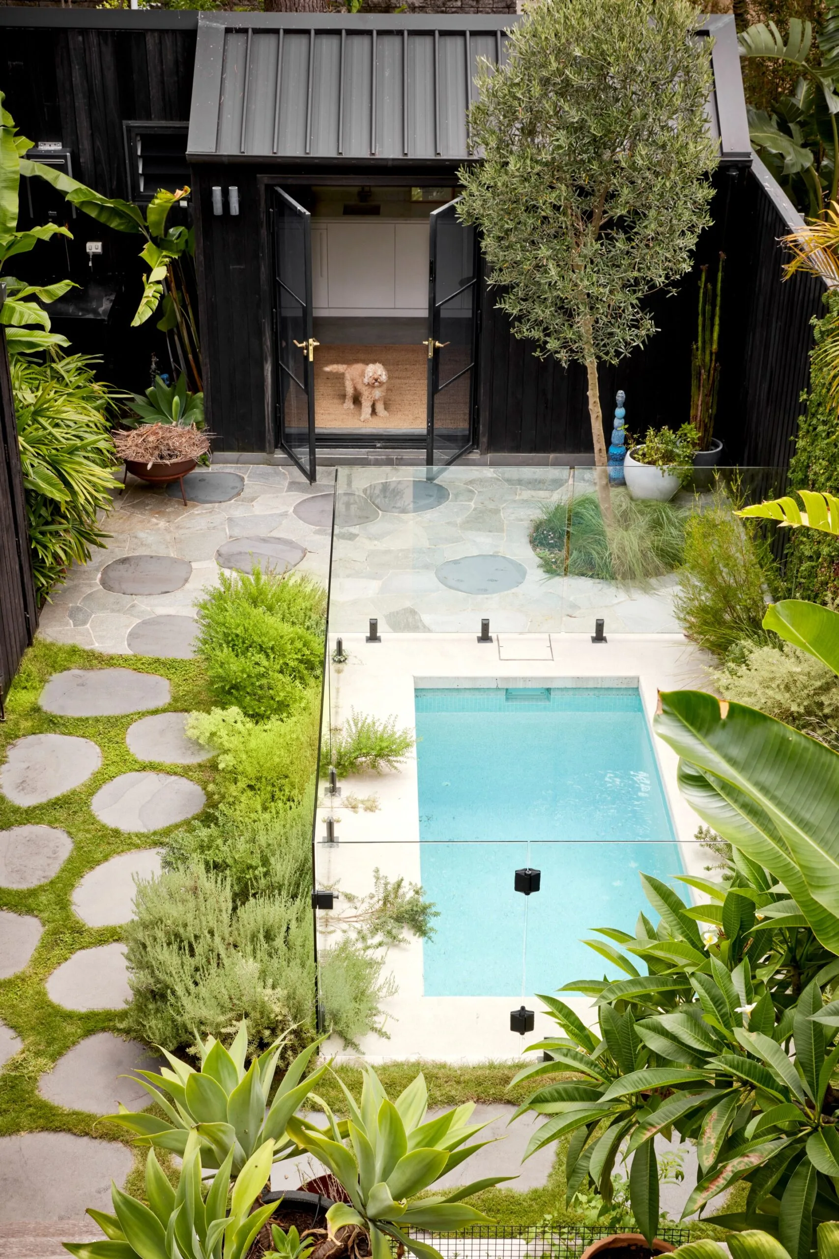 Beauty Chef Founder Carla Oates Stunning Bondi Home Makeover | Homes To ...