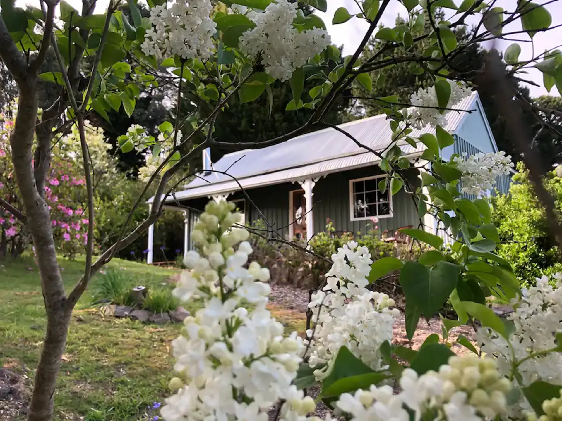 Top 11 Launceston Stays for Your Next Tasmania Trip | Homes To Love