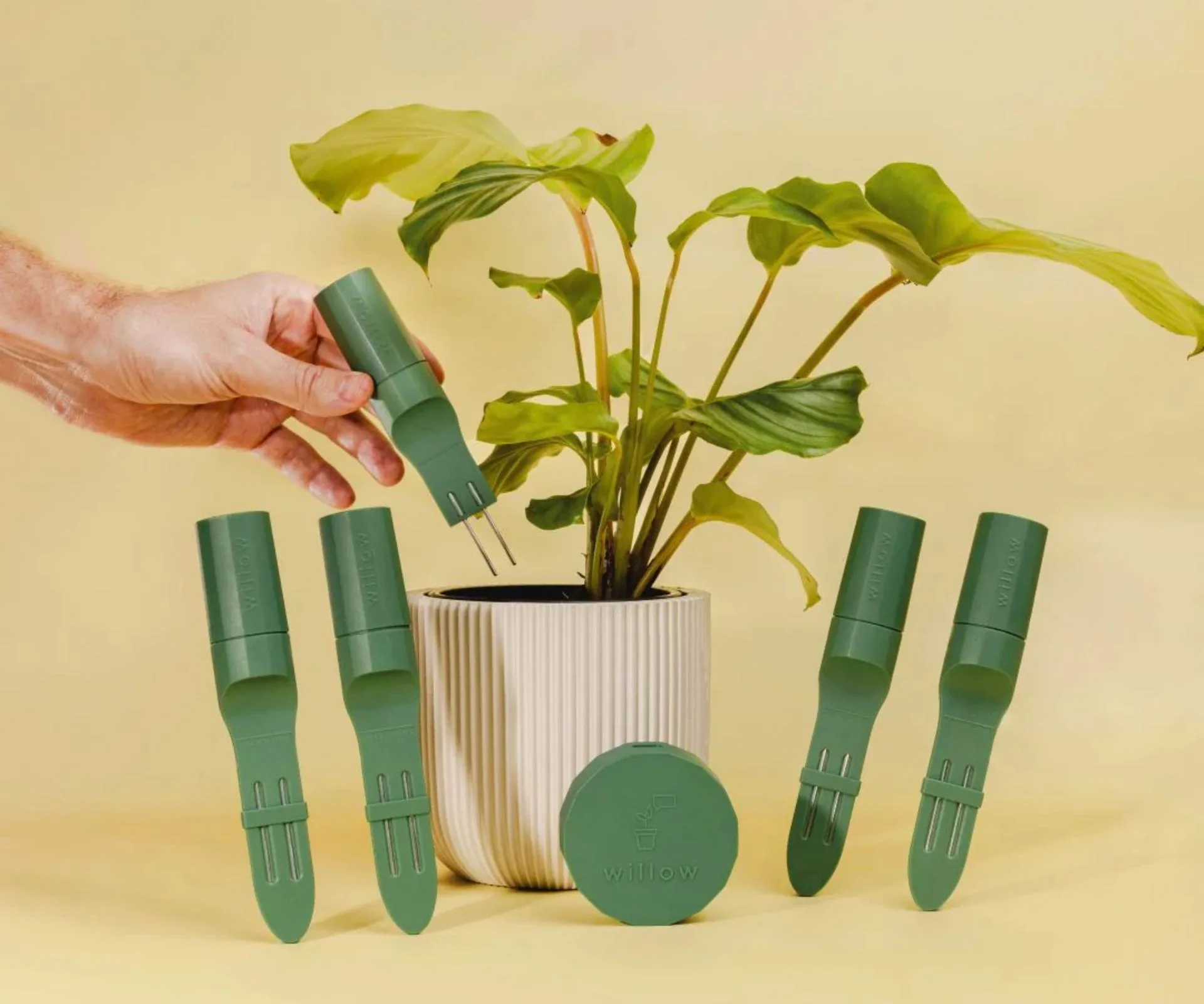 Keep Your Houseplants Alive With The Willow Plant Sensor