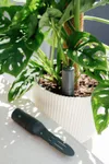 Keep Your Houseplants Alive With The Willow Plant Sensor