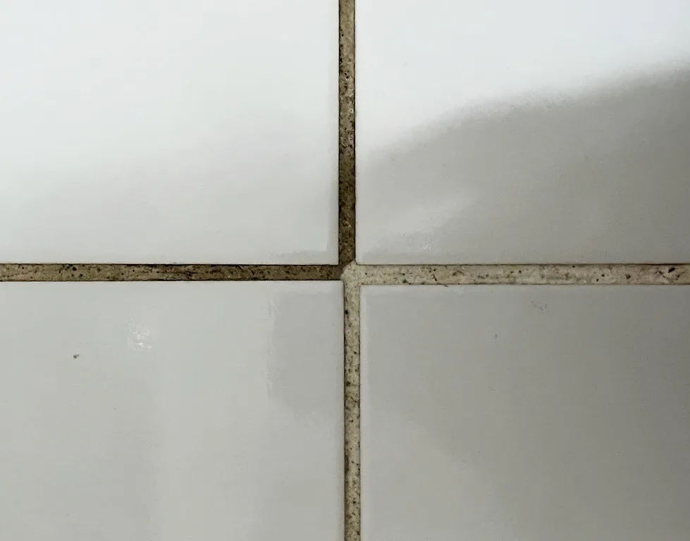 Glassguard Reviews: The Miracle Mould Remover