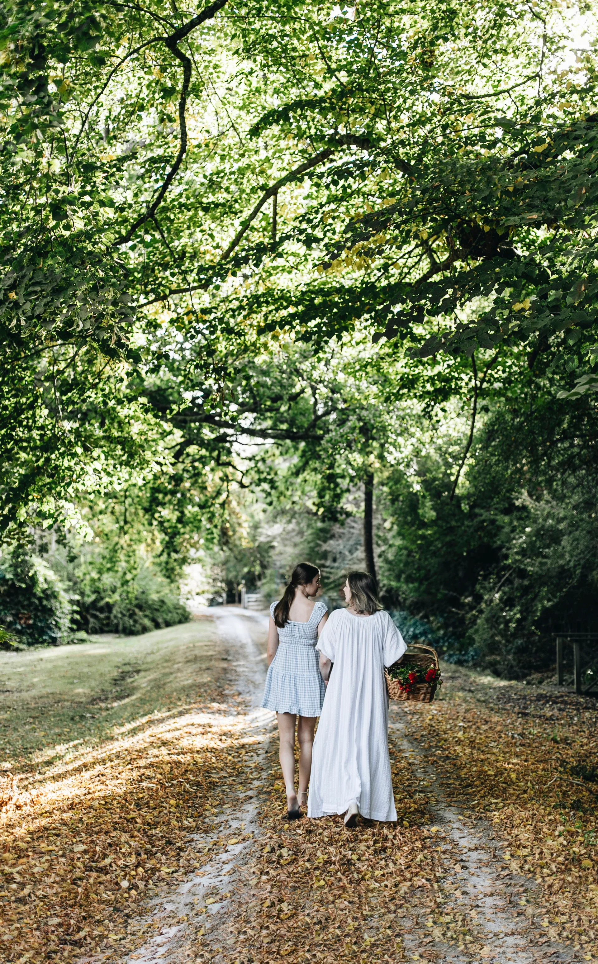 Tour Forest Hall, A Historic Manor in Northern Tasmania | Homes To Love