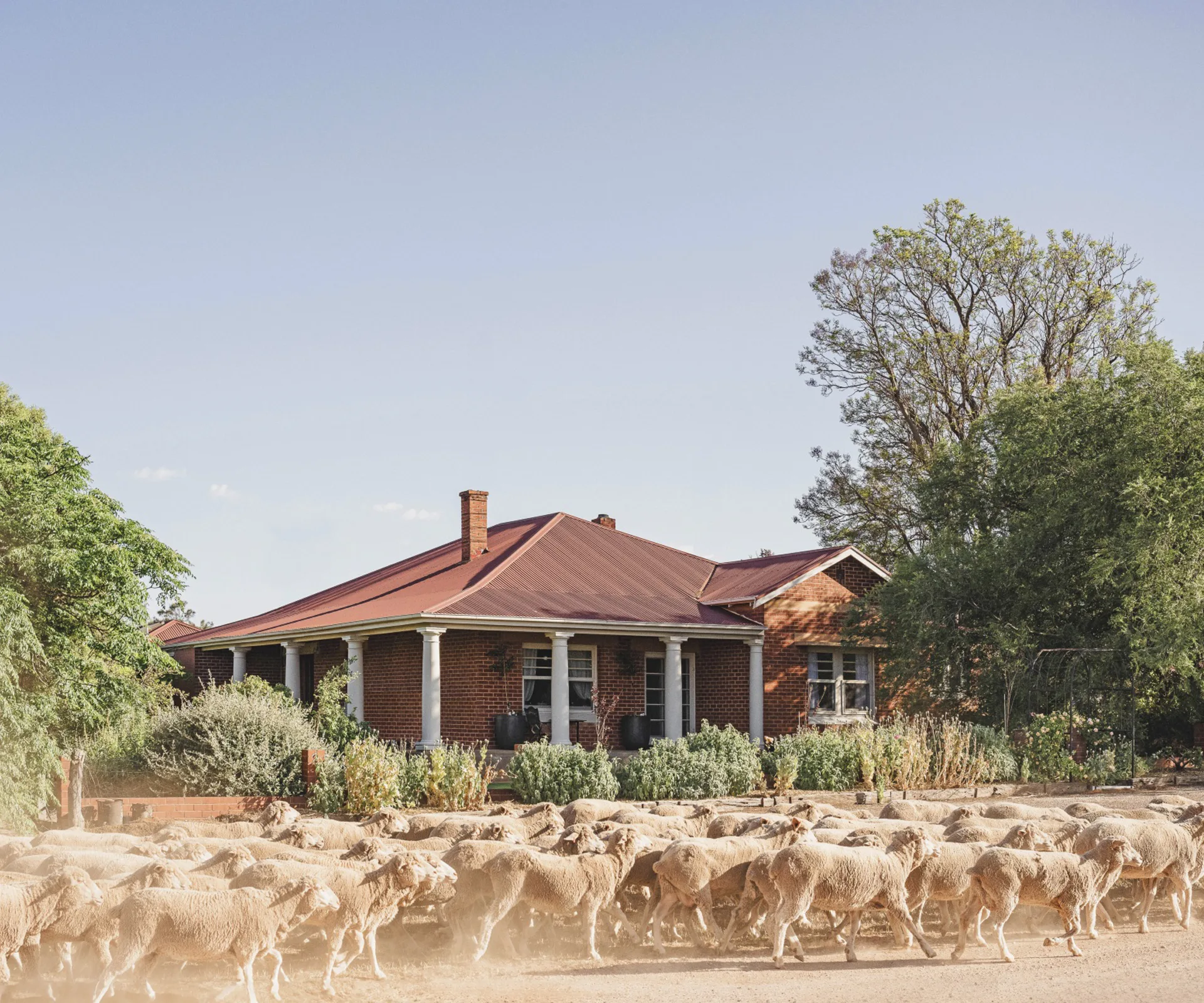 From bachelor pad to blooming oasis: inside an elegant cottage and ...