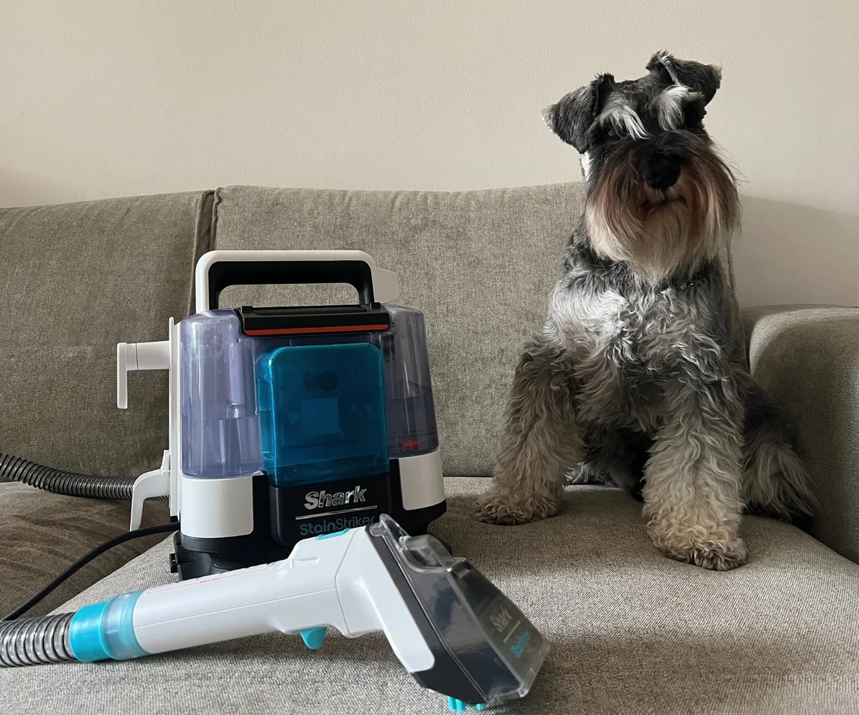 Testing the best spot cleaners for 2025: from sofas to pet messes